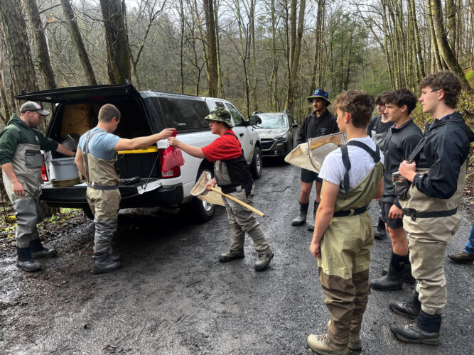 Bucktail ecology students monitor streams with DCNR | News, Sports ...
